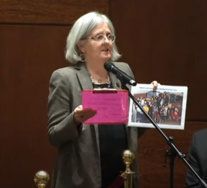 Our Founder Dr. Deborah L. Wexler | Immunize.org